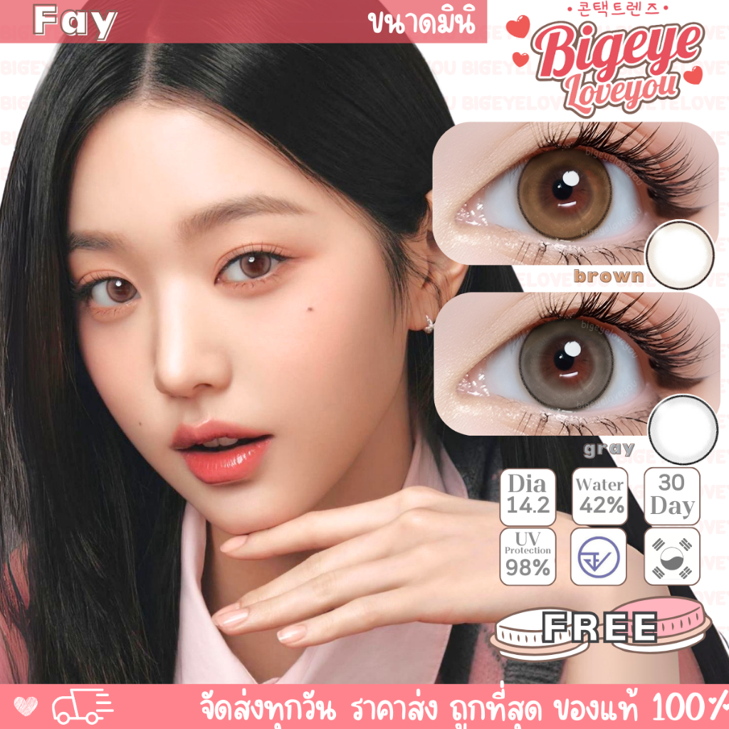 คอนแทคเลนส์ Fay Brown / Gray (Kitty Kawaii) ขนาดมินิ 🌷 ลายฮิต สุดปังใน ...