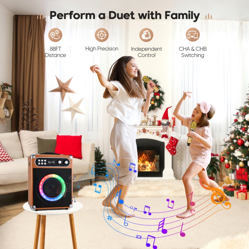Multifunctional Karaoke Machine NT 002 20W Integrated Karaoke Machine ...