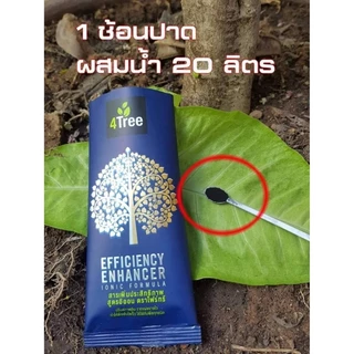 ช้อป 4tree ราคาสุดคุ้ม ได้ง่าย ๆ | Shopee Thailand