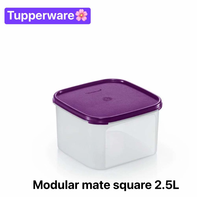 Tupperware รุ่น Modular Mate Square (1ใบ) ขนาด 2.5L | Shopee Thailand