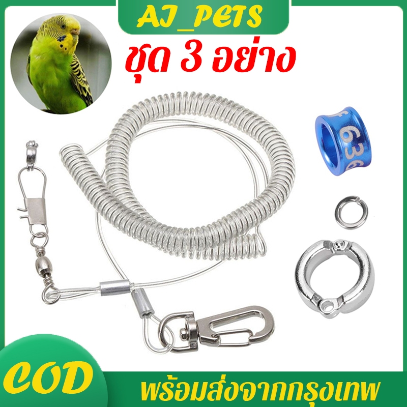 ชุด3ชิ้น สายจูงนก+ห่วงเปิดนก+ห่วงนกอลูมิเนียม ฝึกนกบิน ป้องกันหาย เสริม ...