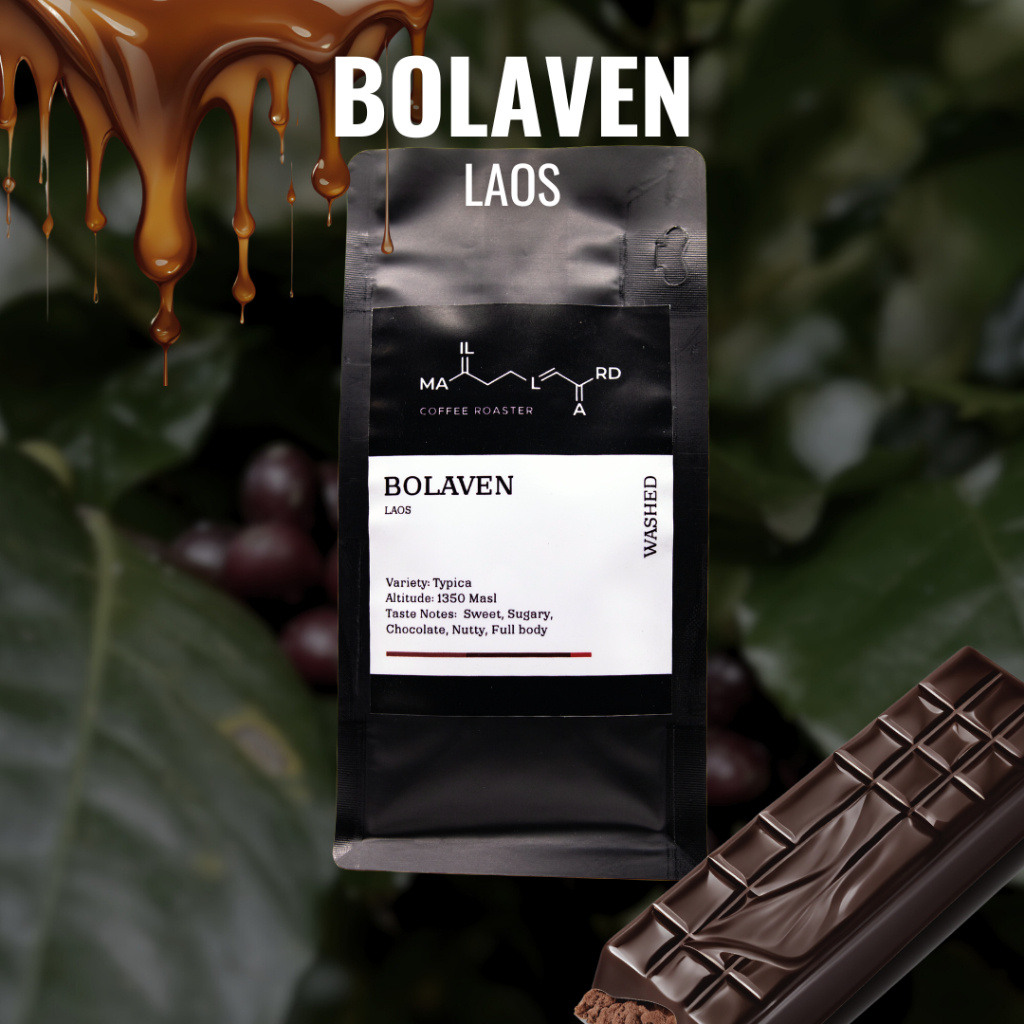 Maillard Coffee Roaster เมล็ดกาแฟคั่ว ลาว Bolaven Laos (คั่วอ่อน ...