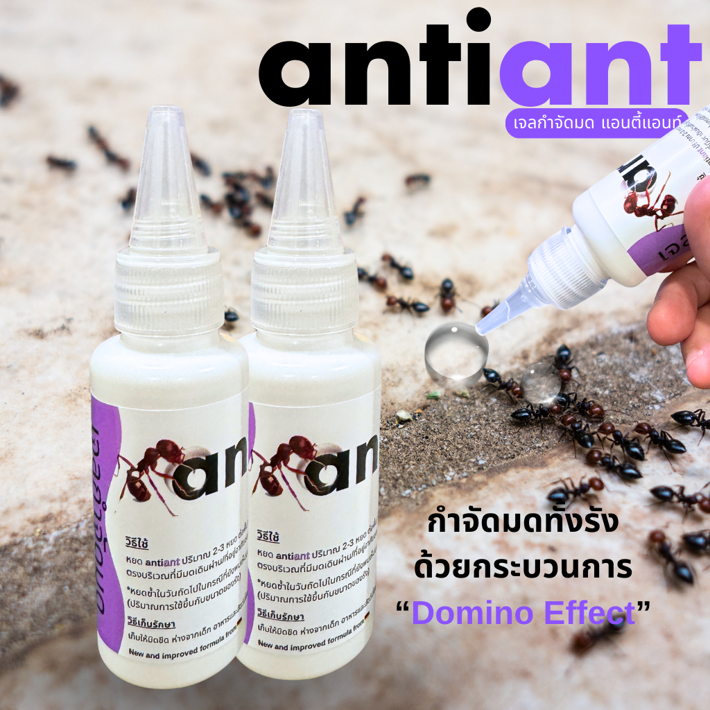 เจลกำจัดมด antiant ขนาด 50 กรัม [2 หลอด] | Shopee Thailand