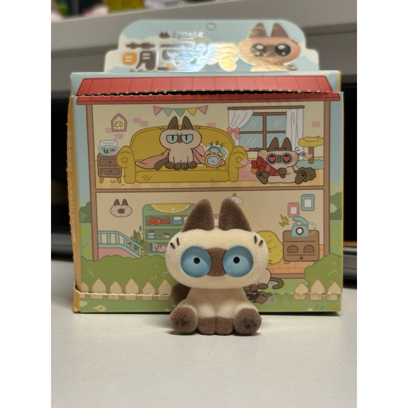 พร้อมส่ง แกะเช็คตัว Moe Azukisan Mini Cat series ลิขสิทธิ์แท้ Azuki Cat ...