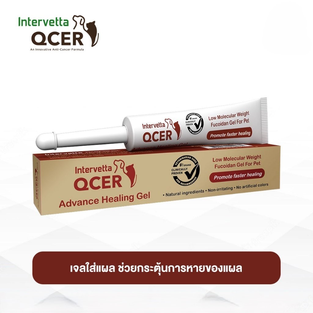 Qcer Advance Healing Gel สำหรับสัตว์เลี้ยง รักษาแผล ช่วยให้แผลหายเร็วขึ้น 15 g. | Shopee Thailand
