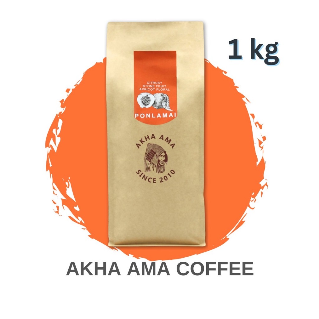 AKHA AMA COFFEE กาแฟ อาข่า อ่ามา : PONLAMAI เมล็ดกาแฟคั่ว อาข่า อาม่า ...