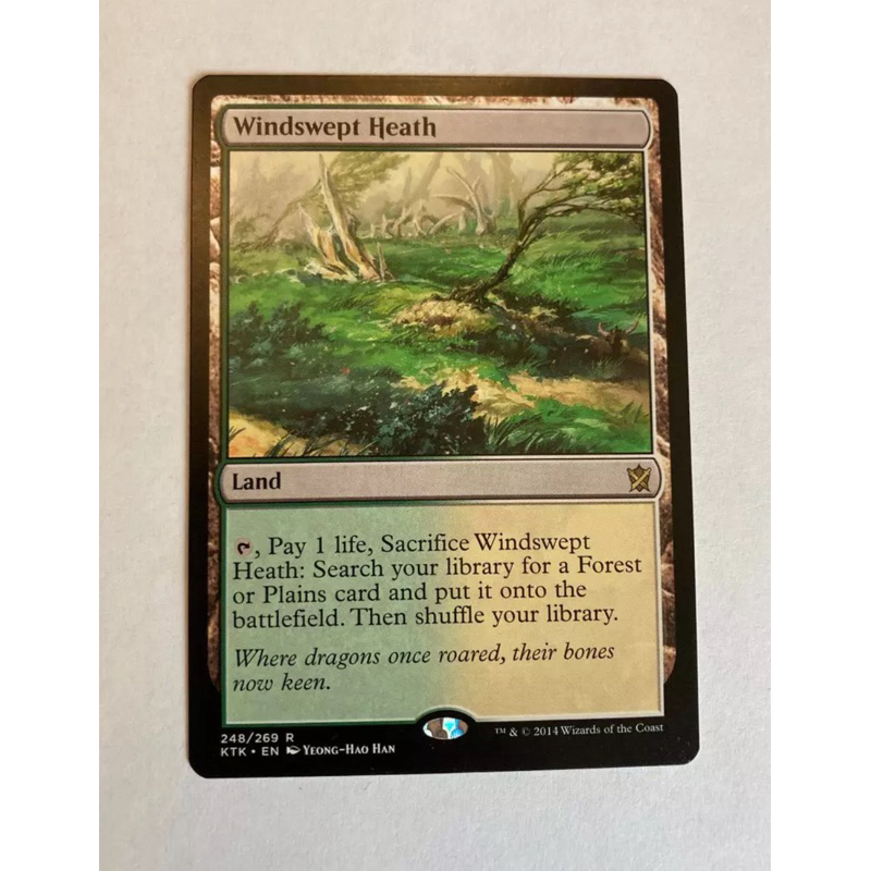 การ์ด MTG Windswept Heath Land Magic the Gathering EDH รุ่น KTK สภาพ Ex ...