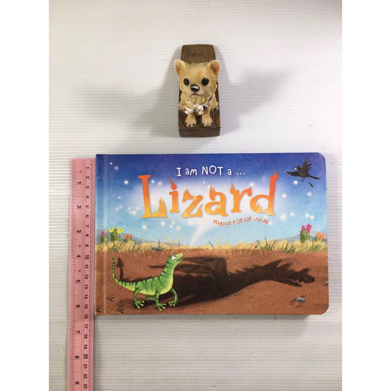 I am not a Lizard magical Pop - Up inside หนังสือภาษาอังกฤษมือสอง ...