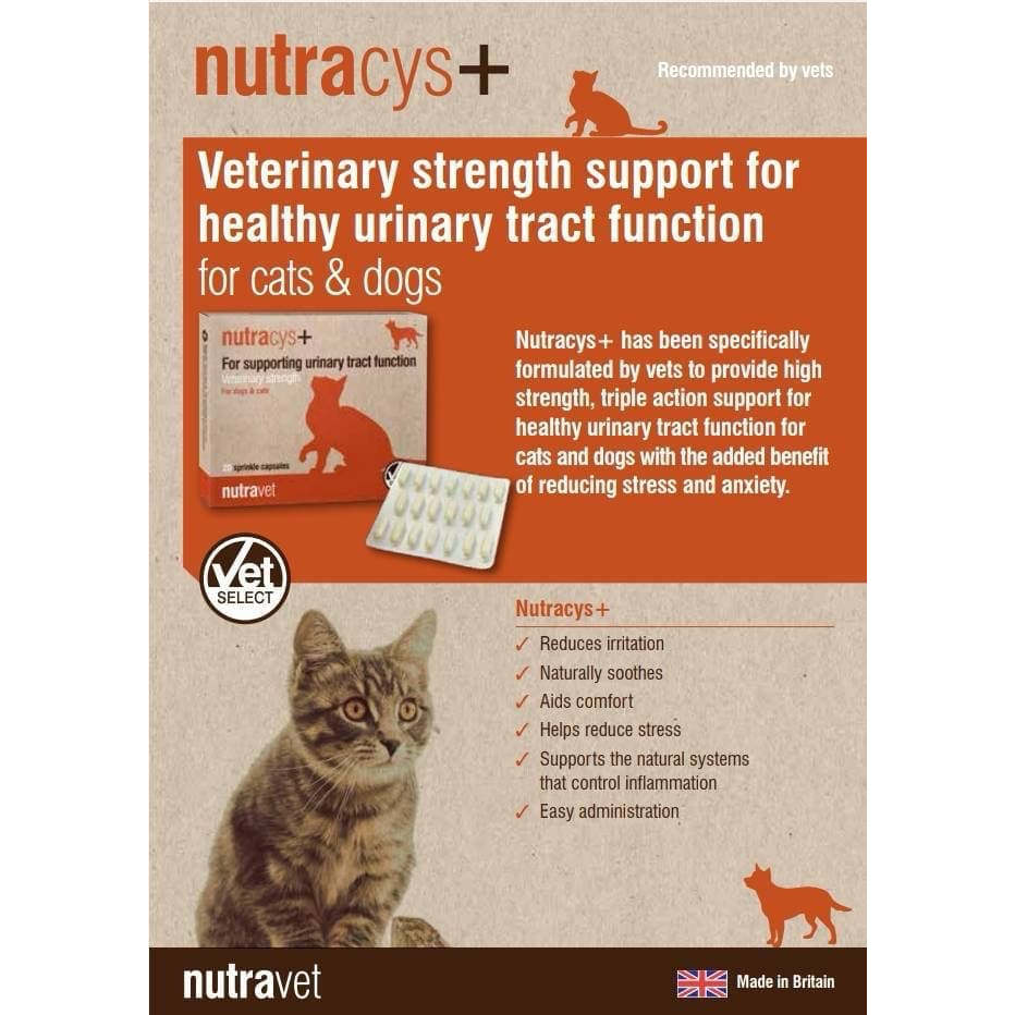 Nutracys+ อาหารเสริมดูแลระบบทางเดินปัสสาวะ สำหรับสุนัขและแมว บรรจุ 20 ...