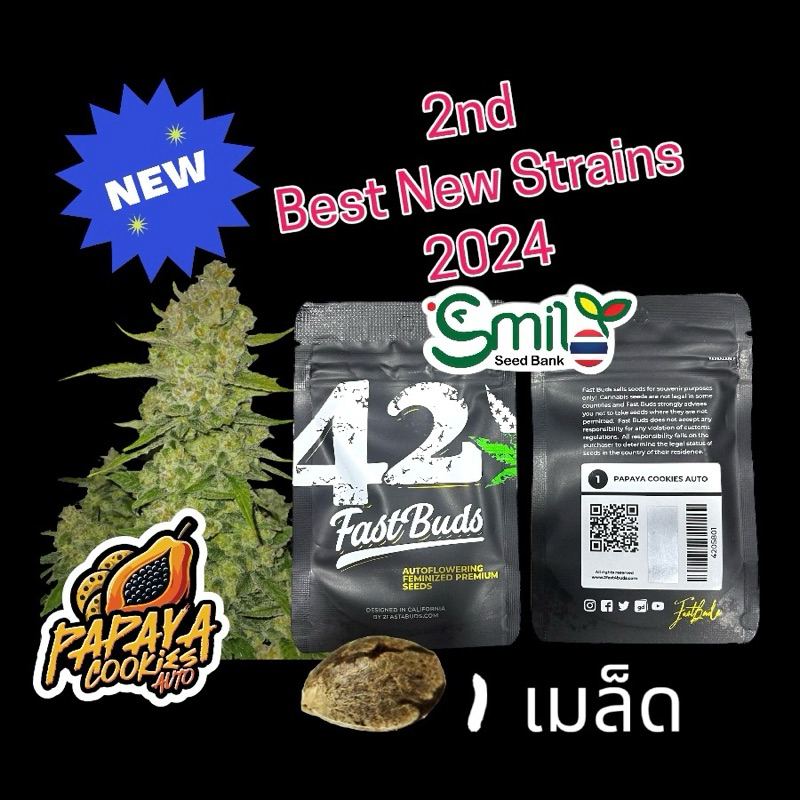 เมล็ดกัญชา Papaya Cookies (Auto) - Fastbuds ใหม่ล่าสุด 2024 New Release ...