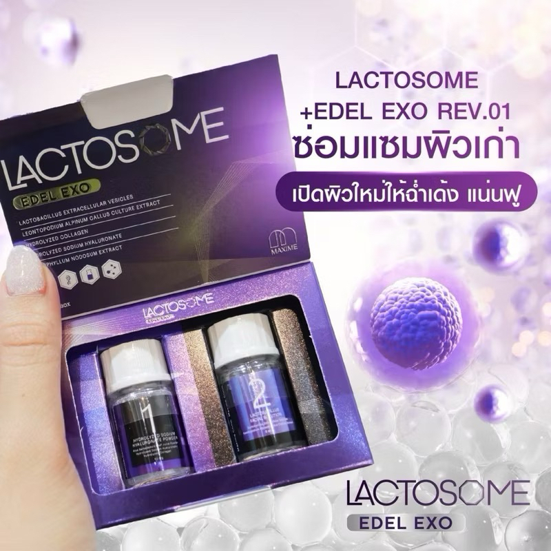 แลคโตโซม อีเดล เอ็กโซ LACTOSOME EDEL EXO by maxemi อย | Shopee Thailand