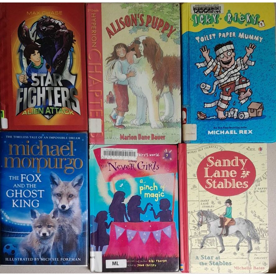 h53-2 Fiction หนังสือมือสอง ปกแข็ง | Shopee Thailand