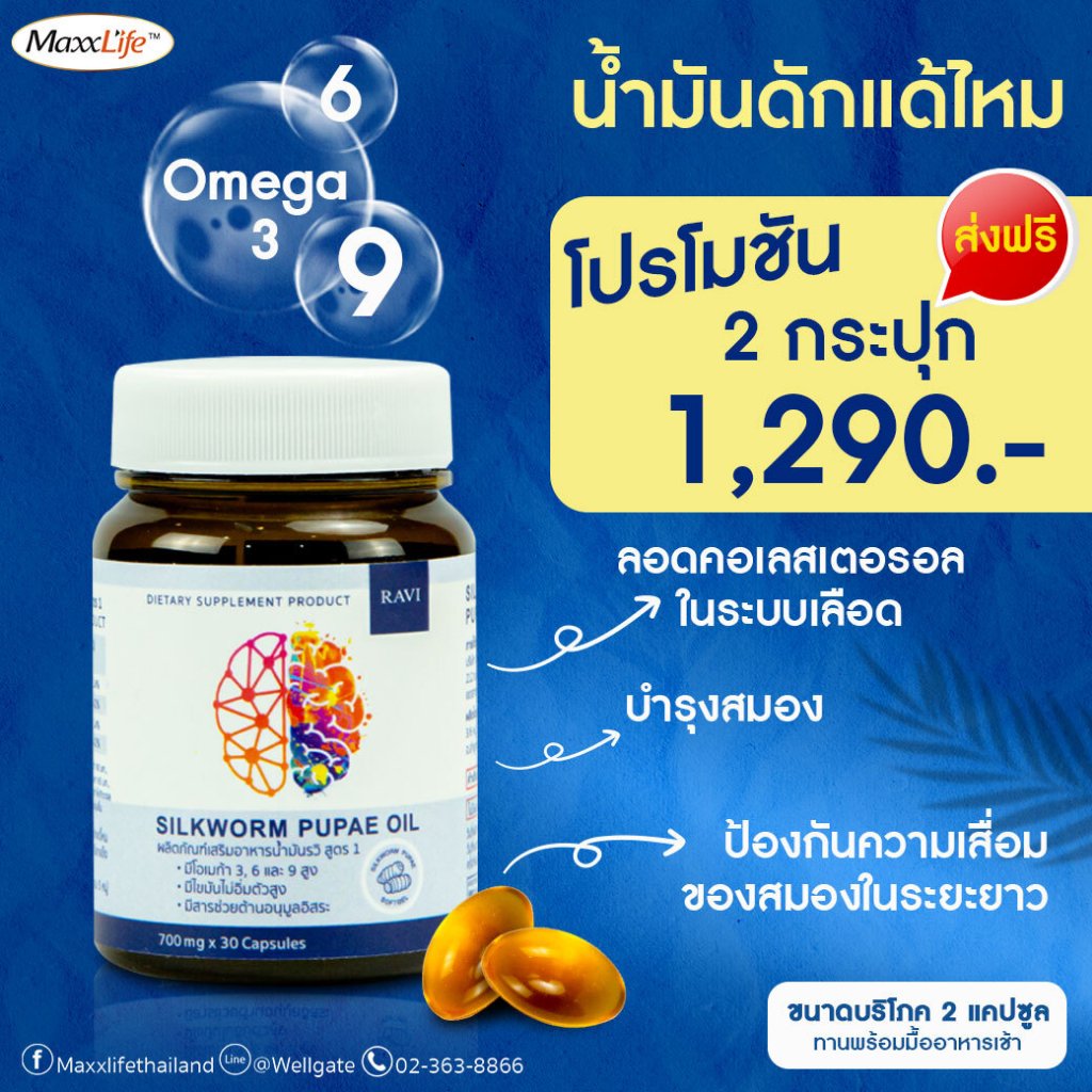 น้ำมันรวิ SILKWORM PUPAE OIL ผลิตภัณฑ์เวริมอาหารน้ำมันรวิ สูตร 1 RAVI | Shopee Thailand
