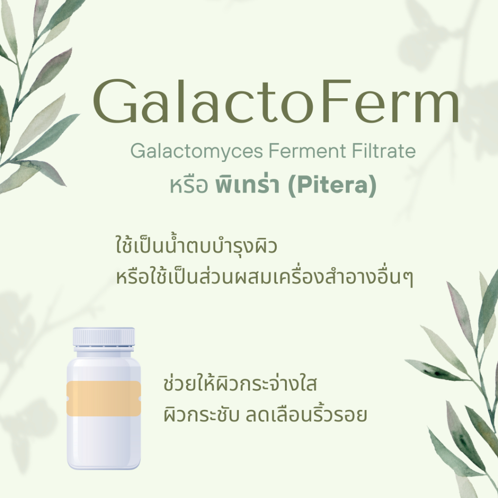 GNS - พิเทร่า เอสเซนส์บำรุงผิวหน้าจาก Galactomyces Ferment Filtrate ของ ...