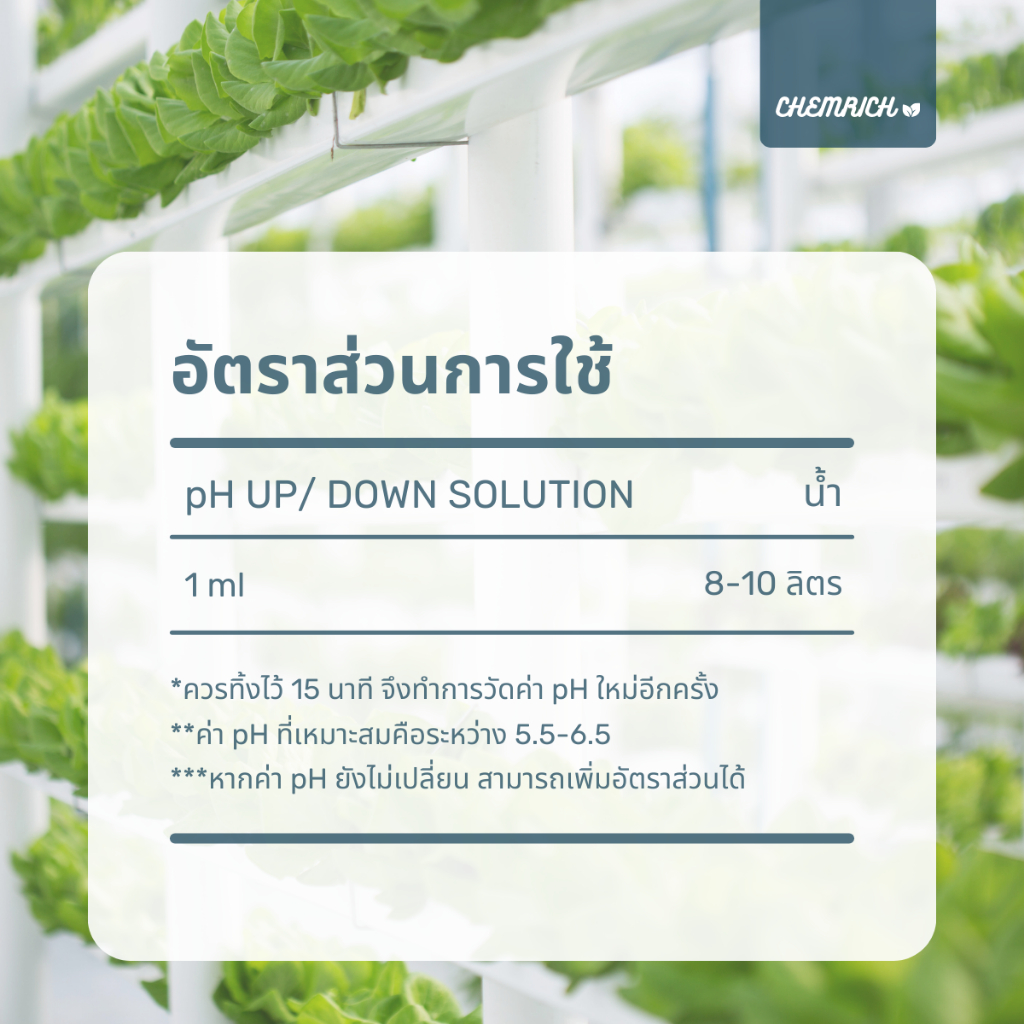 500ml คอมโบแพคคู่ pH UP + pH DOWN น้ำยาปรับค่า pH สูตรเข้มข้น / Essential combo pack pH UP + pH ...