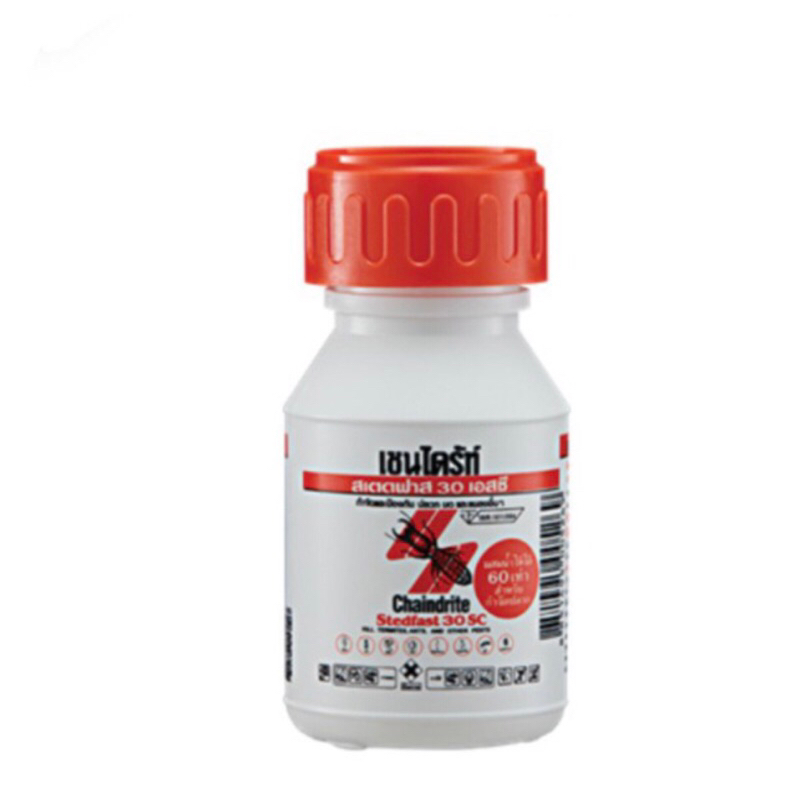 Chaindrite เชนไดร้ท์ สเตดฟาส 30 เอส.ซี.กำจัดปลวก มด แมลงสาบ chaindrite ...