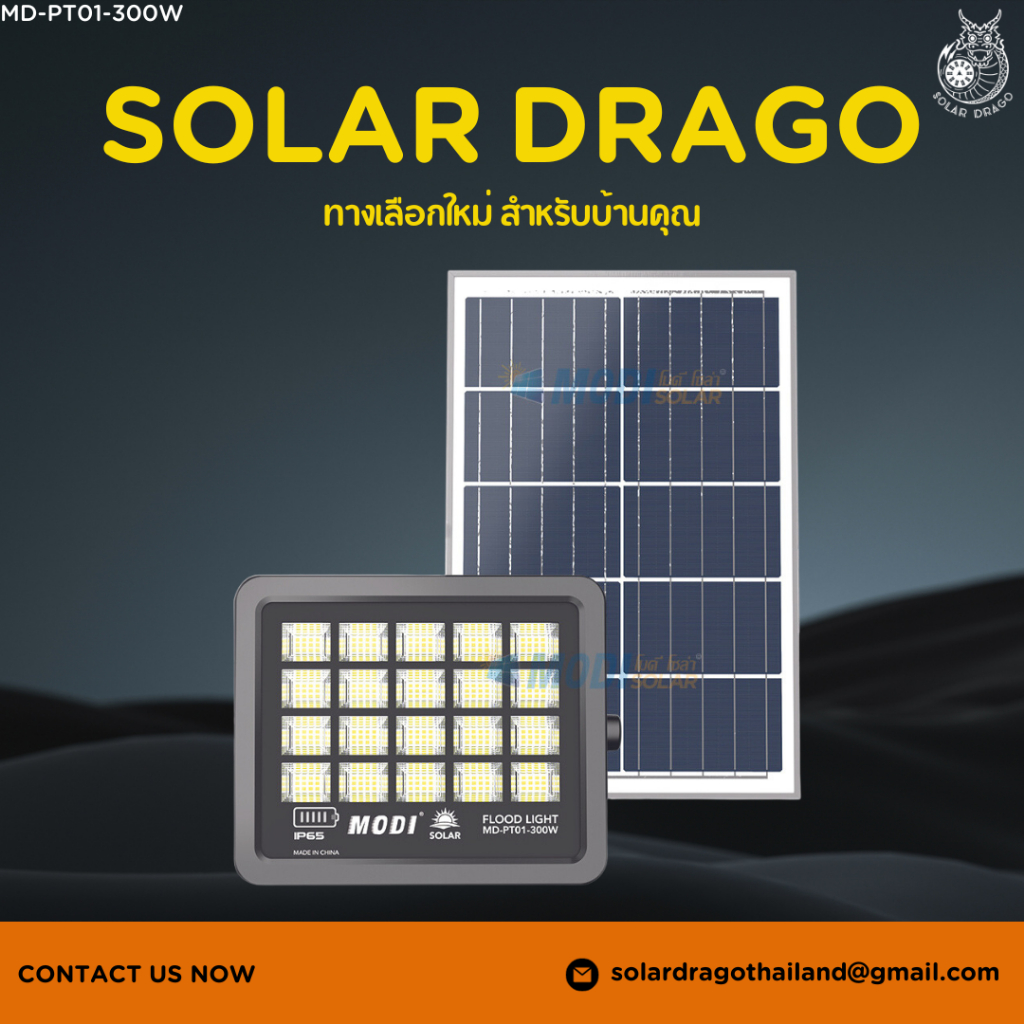 MD-PT01-300Wเเสงขาว : DAY LIGHT(300W) | Shopee Thailand