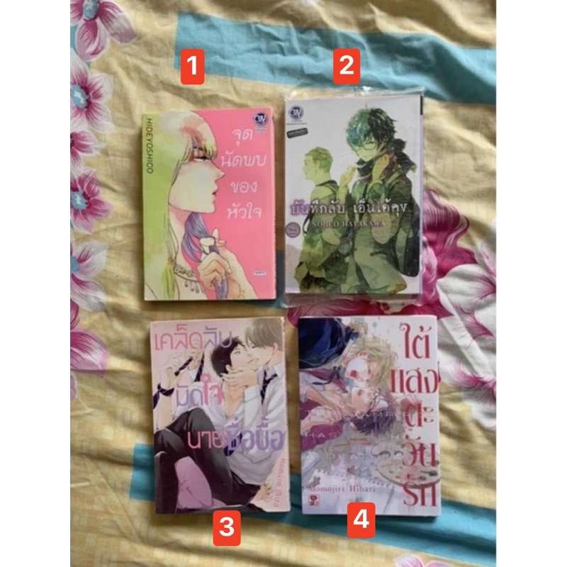 คัทลิขสิทธิ์ สภาพสะสม การ์ตูนวาย มือสอง คัทวาย มังงะวาย Yaoi bly Zenshu | Shopee Thailand