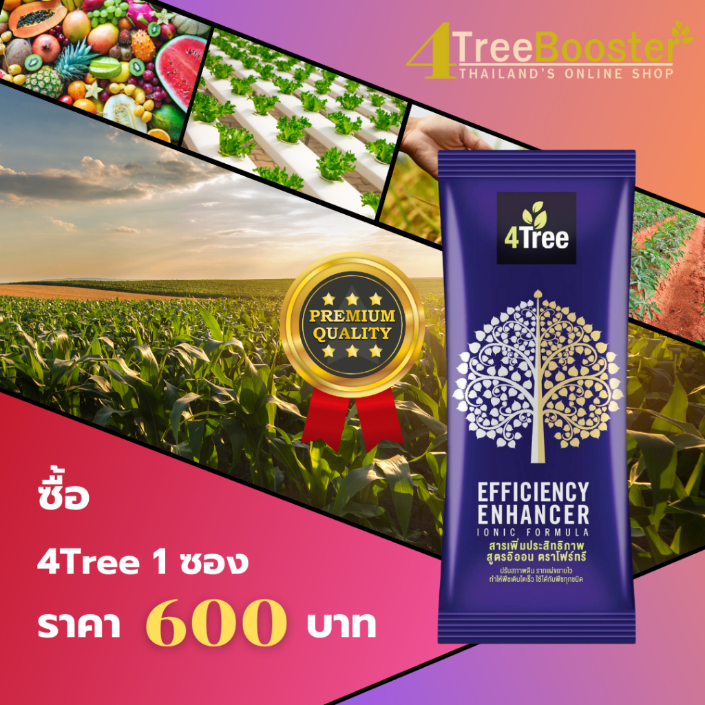 4Tree โฟร์ทรี 1 ซอง อาหารเสริมพืชสูตรอิออน ดีกว่านาโน 5 เท่า ดูดซึมพร้อมกับการแลกเปลี่ยนประจุของ ...