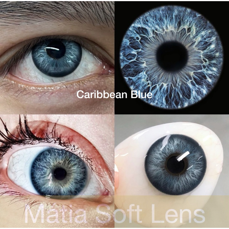 Caribbean Blue คอนแทคเลนส์นำเข้า รายปี 390.- มีค่าสายตา | Shopee Thailand