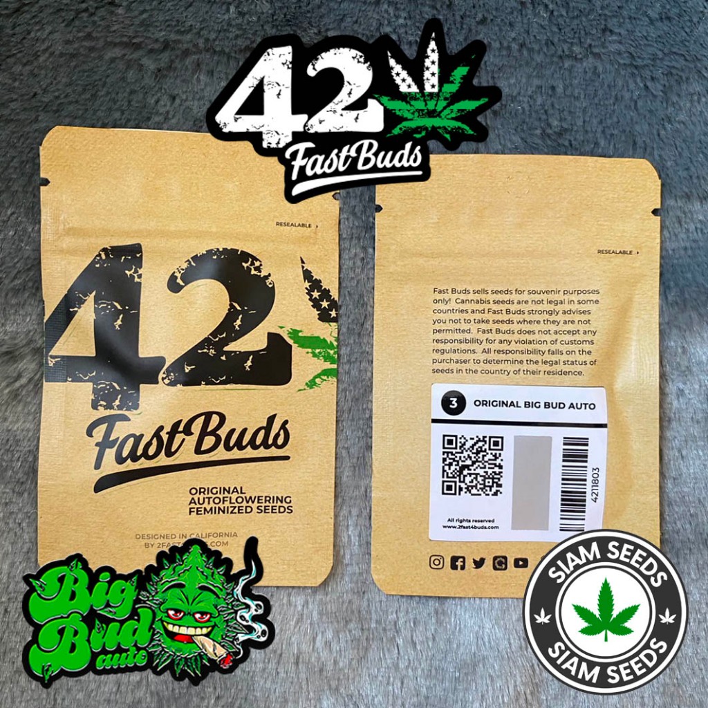 เมล็ดกัญชา Fastbuds Original Big Bud Auto Cannabis Seeds (Pack of 3 ...