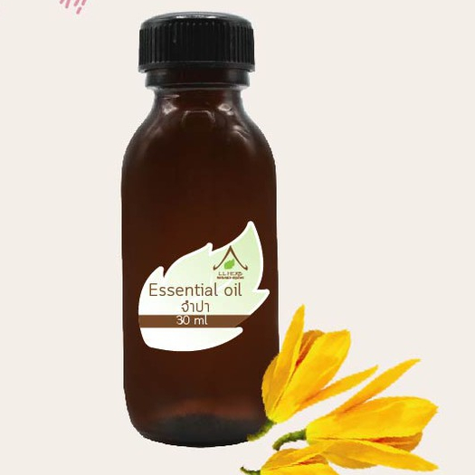 น้ำมันหอมระเหย กลิ่นจำปา ขนาด 30 มล. (Essential oil Champak Sent Size ...