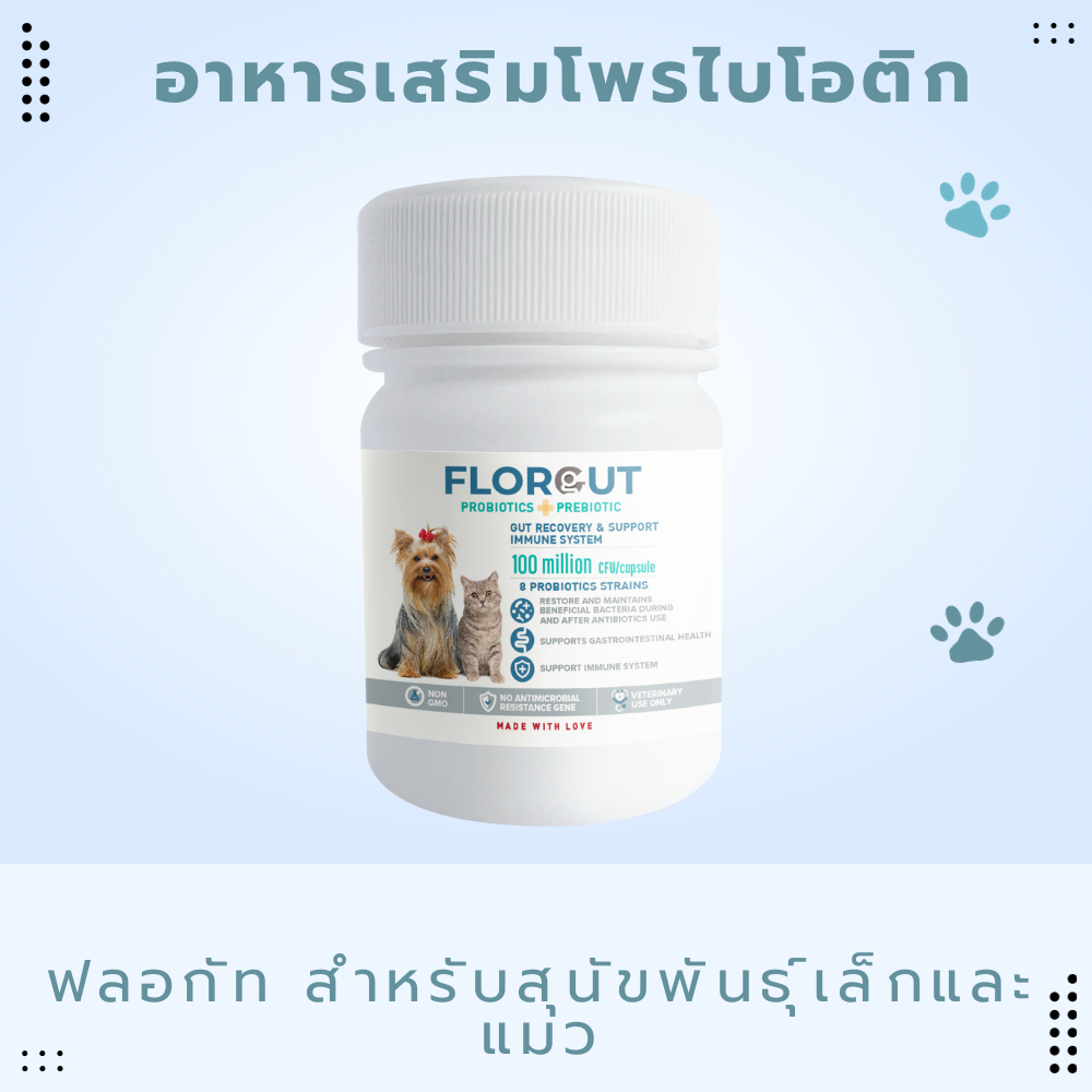 อาหารเสริมสุนัข แมว โพรไบโอติกส์ พรีไบโอติก FlorGut ฟลอกัท สำหรับสุนัข ...