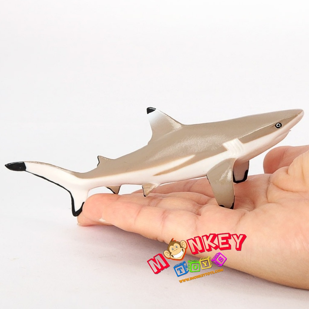 Monkey Toys - โมเดลสัตว์ Shark ปลาฉลาม หูดำ ขนาด 15.00 CM (จากหาดใหญ่ ...