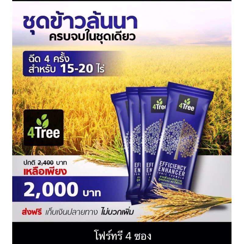 4Tree#โฟร์ที ชุด 4 ซอง ชุดข้าวล้นนา ครบจบในชุดเดียว ของแท้100% | Shopee Thailand