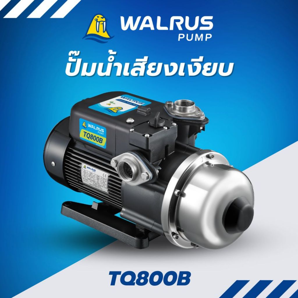 WALRUS PUMP ปั๊มน้ำอิเล็กทรอนิกส์ รุ่น TQ800B น้ำแรง เสียงเงียบ ท่อ1นิ้ว กำลัง750W ปั๊มน้ำ ...