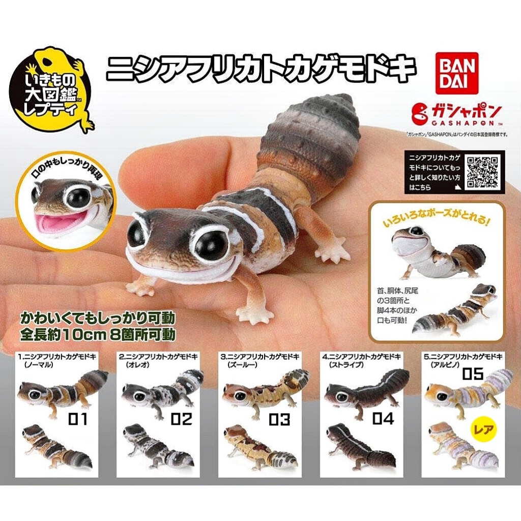 (มีของพร้อมส่ง)กาชาปองตุ๊กแกหางอ้วนมินิ Gashapon Bandai Ikimono ...