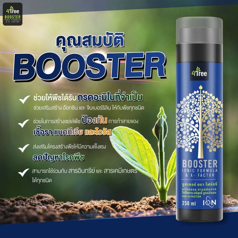4tree BOOSTER นวัตกรรมสารสกัดจากไคโตซาน บริสุทธิ์ สูตรอิออนและ X-FECTOR | Shopee Thailand