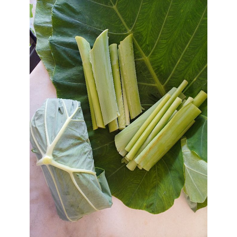 ออดิบ อ้อดิบ ต้นคูน ทูน สำหรับปรุงอาหาร | Shopee Thailand