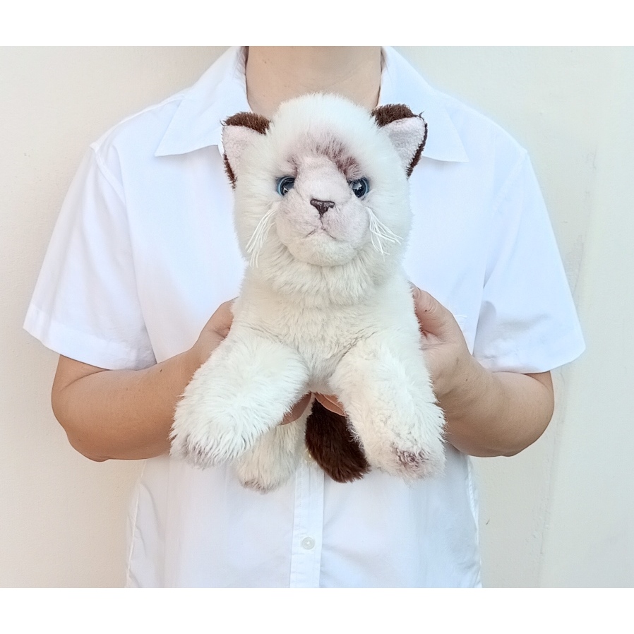 ตุ๊กตาแมวสยาม ขนนุ่ม ก้นถ่วง The Bearington Collection Siamese Cat ...