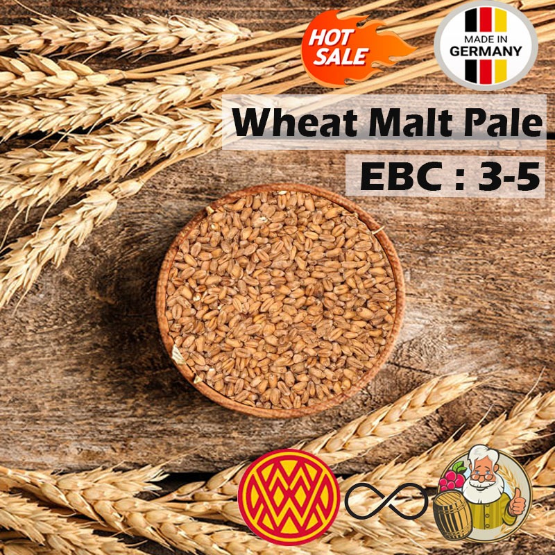 มอลต์ Pilsner, Wheat, Pale Ale, Vienna, MUNICH MALT TYPE 1, CARAPILS ...