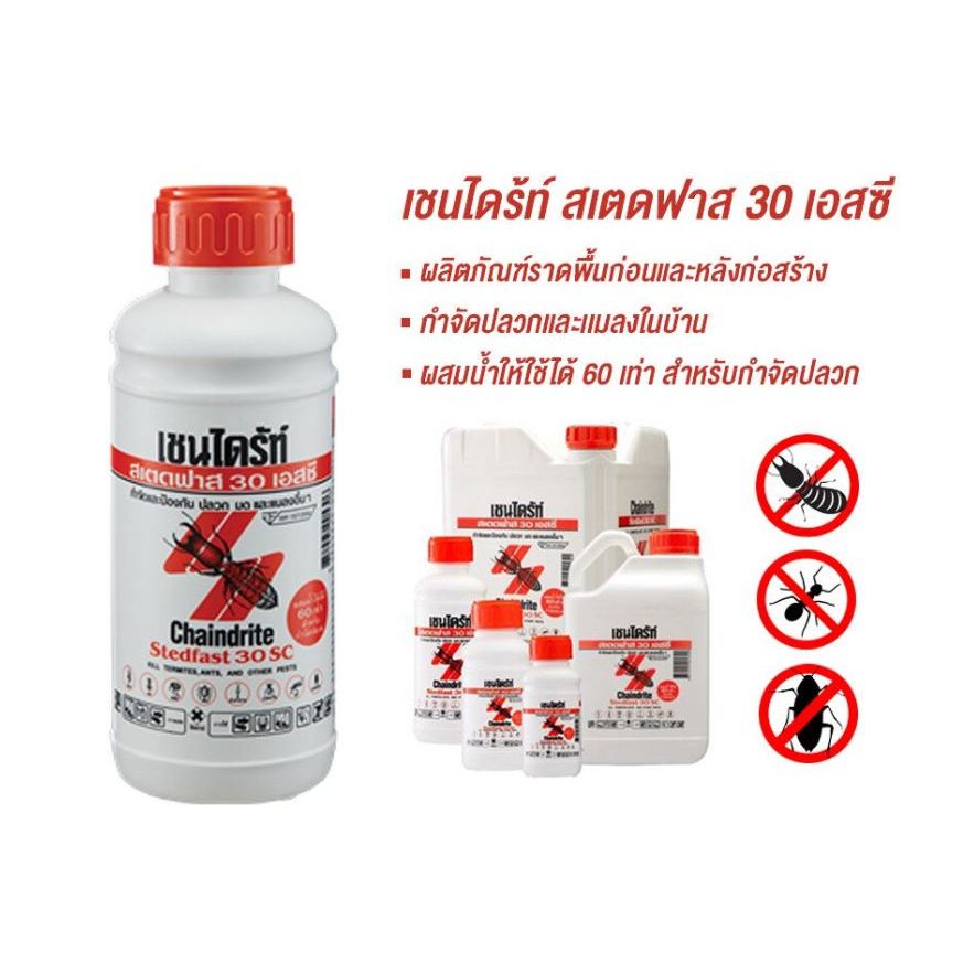 Chaindrite เชนได้ร์ท สเตดฟาส 40 อีซี ยากำจัดแมลง ปลวก CHAINDRITE แบบลาด ...