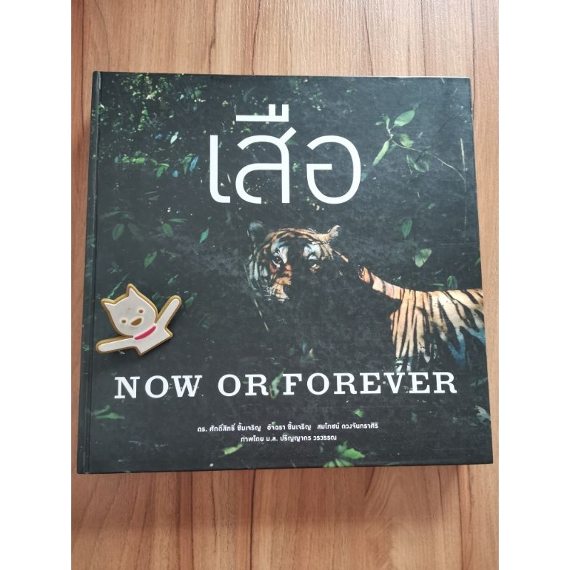 เสือ Now Or Forever ปกแข็ง ภาพสี | Shopee Thailand