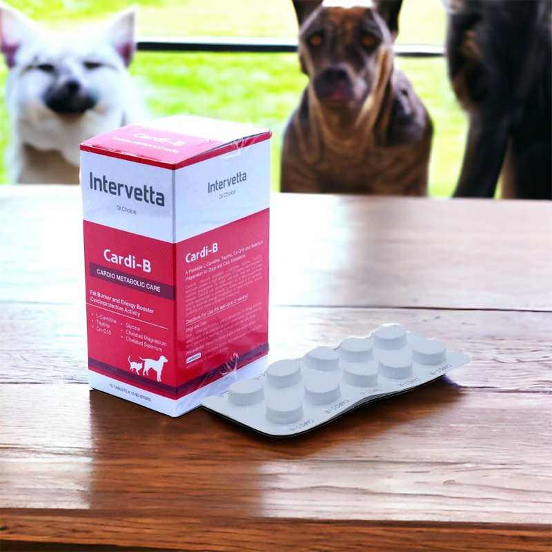 Dr.choice Cardi-B บำรุงหัวใจ น้องหมาน้องแมว Exp 24/7/2025(1 กล่อง 100 ...