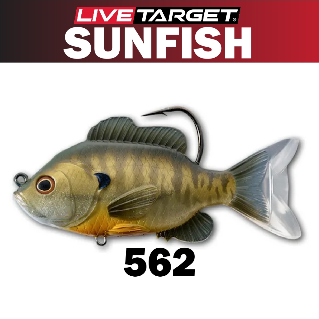 เหยื่อปลอม LIVE TARGET SUNFISH | Shopee Thailand