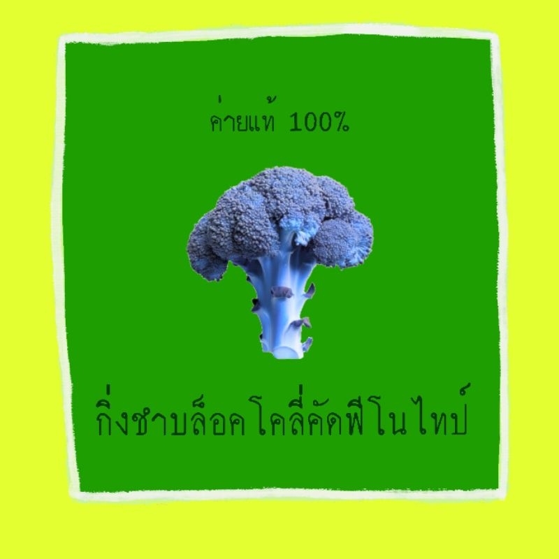 กิ่งชำบล็อคโคลี่คัดฟีโนไทป์colin og rbx | Shopee Thailand