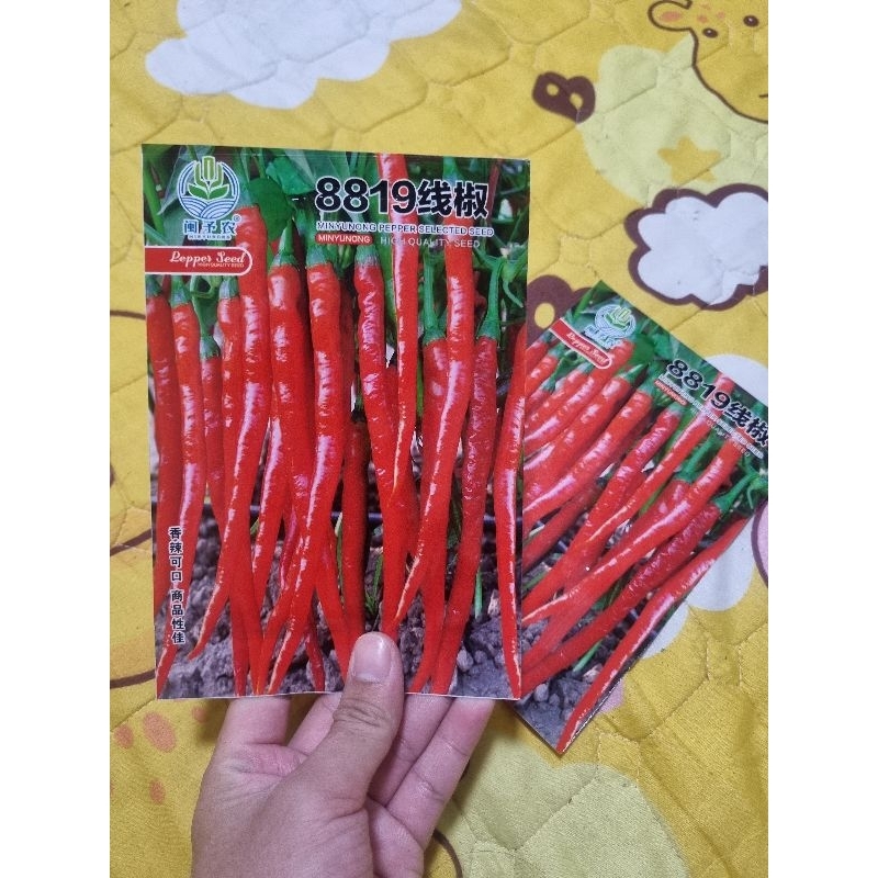 เมล็ดพริกเผ็ด มี 5 กรัม ยาว 15cm พริกยาวที่สุด | Shopee Thailand