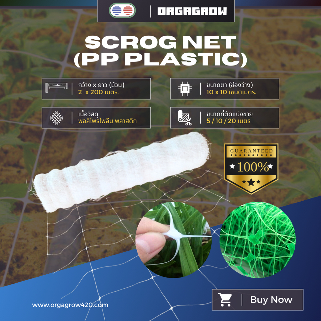 Scrog Net ตาข่ายปลูกต้นไม้ ตาข่ายกันล้มกัญ หน้ากว้าง 2.00m (แบ่งขาย) ตา ...