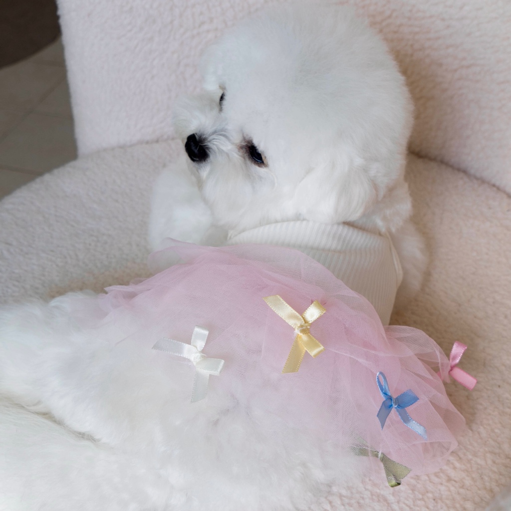Pawxie - Snow ชุดหมา ชุดแมว สีขาว กระโปรงชมพู ติดโบว์ | Shopee Thailand