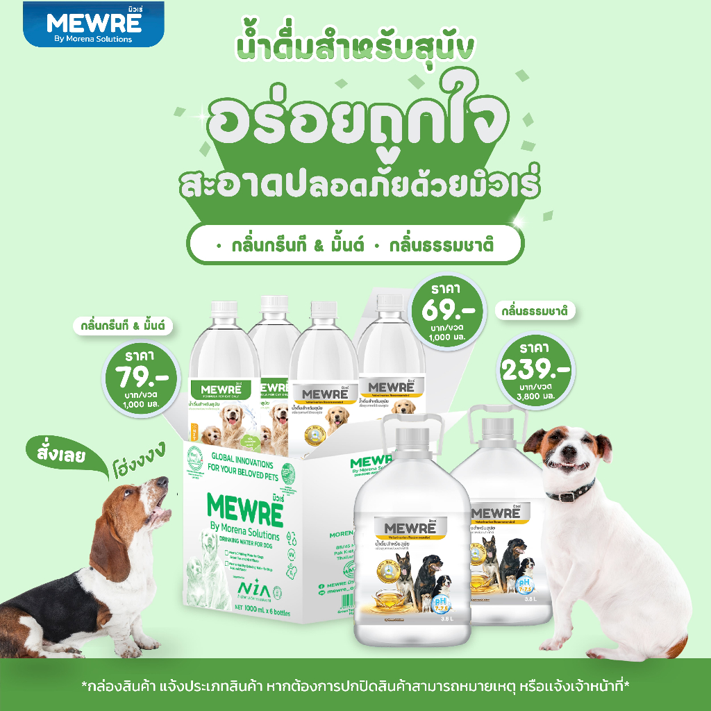 ฟรีค่าจัดส่ง MEWRE มิวเร่ น้ำดื่มสำหรับสุนัข น้ำหมาเซ็ตสุดคุ้ม 6 ขวด กลิ่นมิ้นท์และกรีนที ขนาด ...