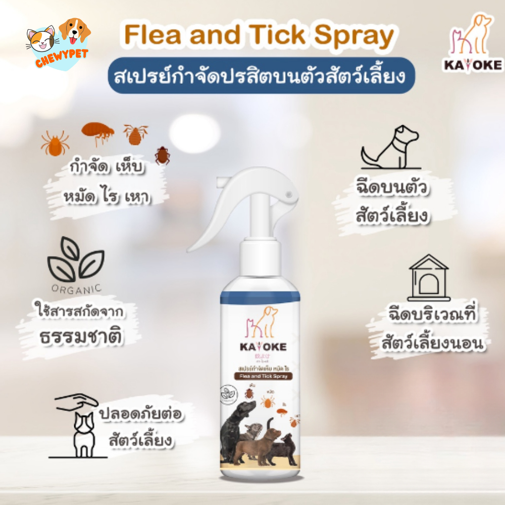 Kayoke สเปรย์กำจัดเห็บหมัด สูตรอ่อนโยน จากสารสกัดธรรมชาติ กำจัดเห็บหมัด ...