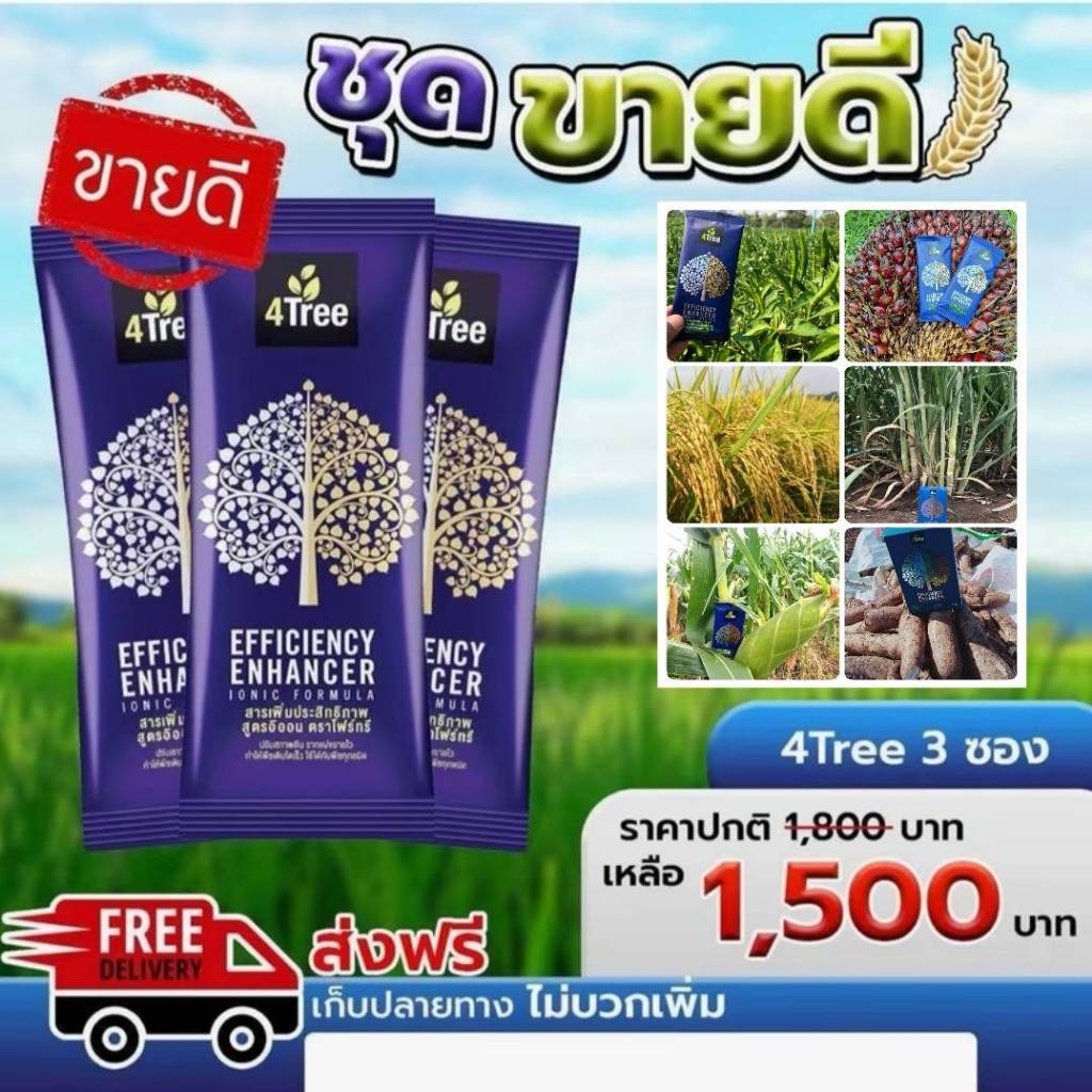 ของแท้ 4Tree โฟร์ ทรี 3 ซอง สารเพิ่มประสิทธิภาพ การเจริญเติบโตพืช 4t โฟที โฟรทรี ปุ๋ยทางใบ ส่ง ...