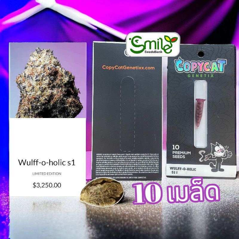 เมล็ดกัญชา Wulff-o-holic S1 (Fem) - Copycat Genetix | Shopee Thailand