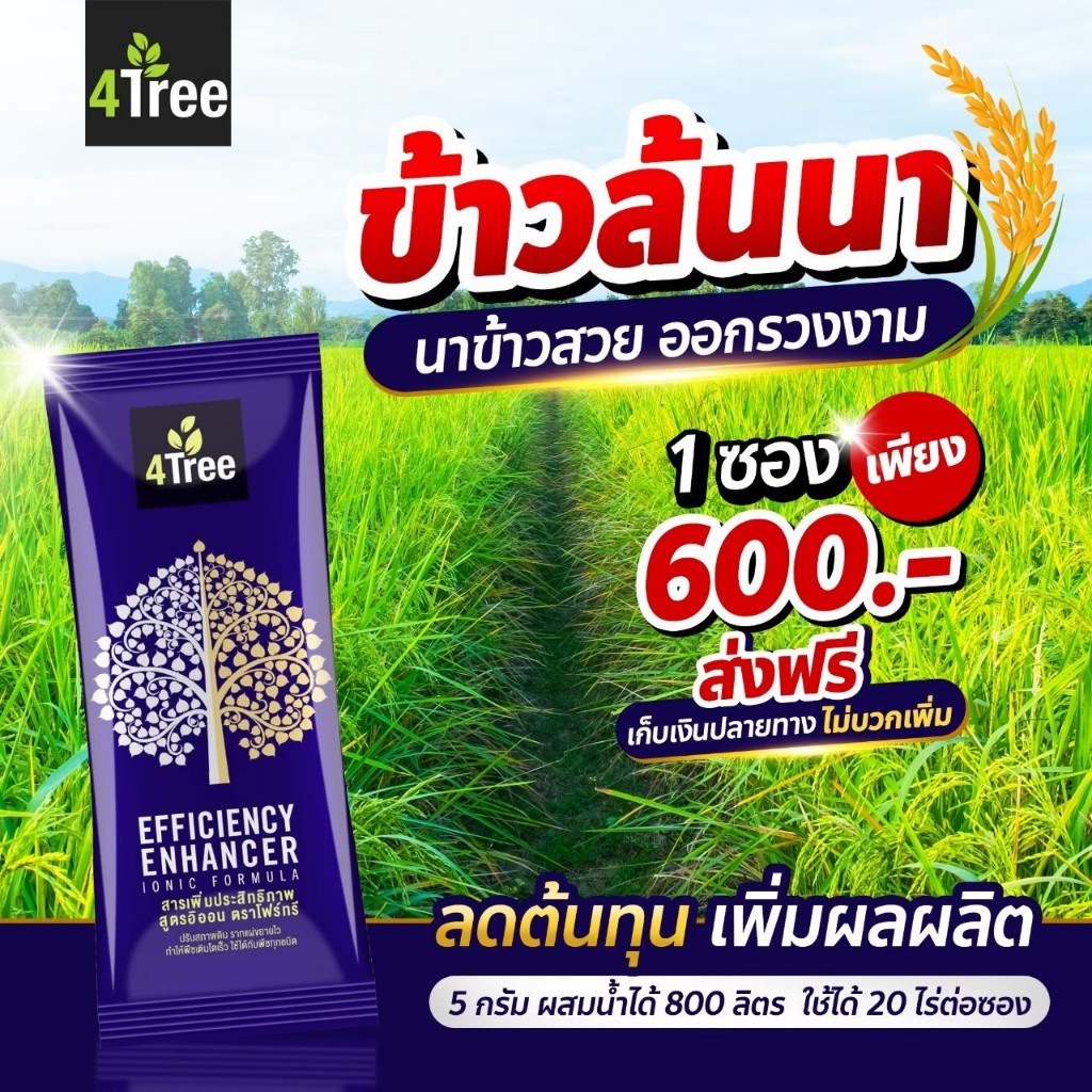 4tree แท้100% สารเพิ่มประสิทธิภาพการเจริญเติบโตใช้ได้กับพืชทุกชนิด | Shopee Thailand
