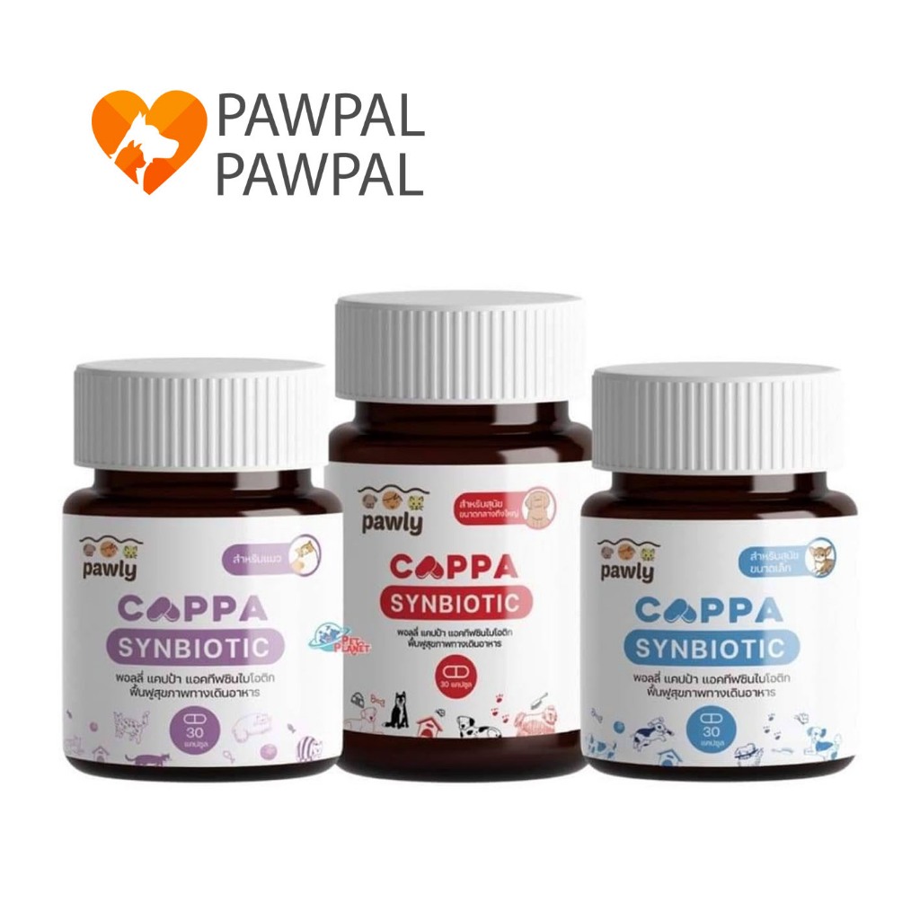 Pawly Cappa Synbiotic จุลินทรีย์ โพรไบโอติก พรีไบโอติก Probiotics รักษา ...