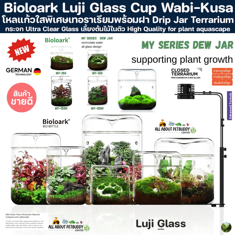 Bioloark Luji Glass Cup Jar แบรนด์ดังผู้ชำนาญด้านโหล Terrarium จัดสวนใน ...